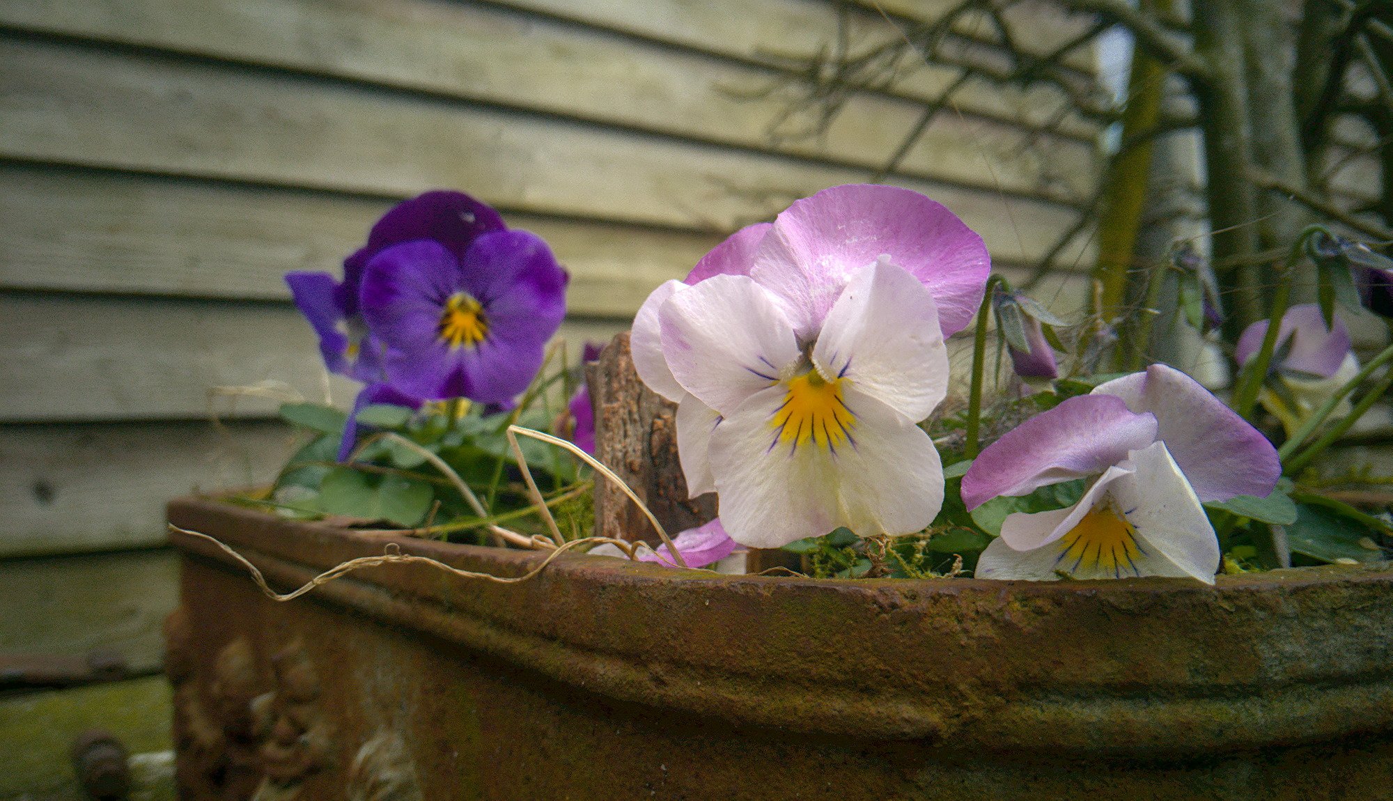 Mobile Linux camera pt6